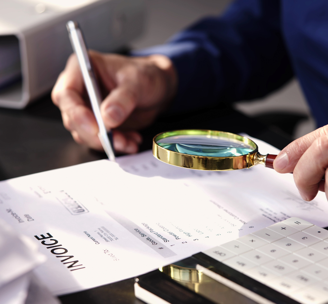 Professional Skepticism: The Engine of Audit Quality - PA Global